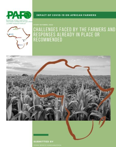Impact of COVID-19 on african famers