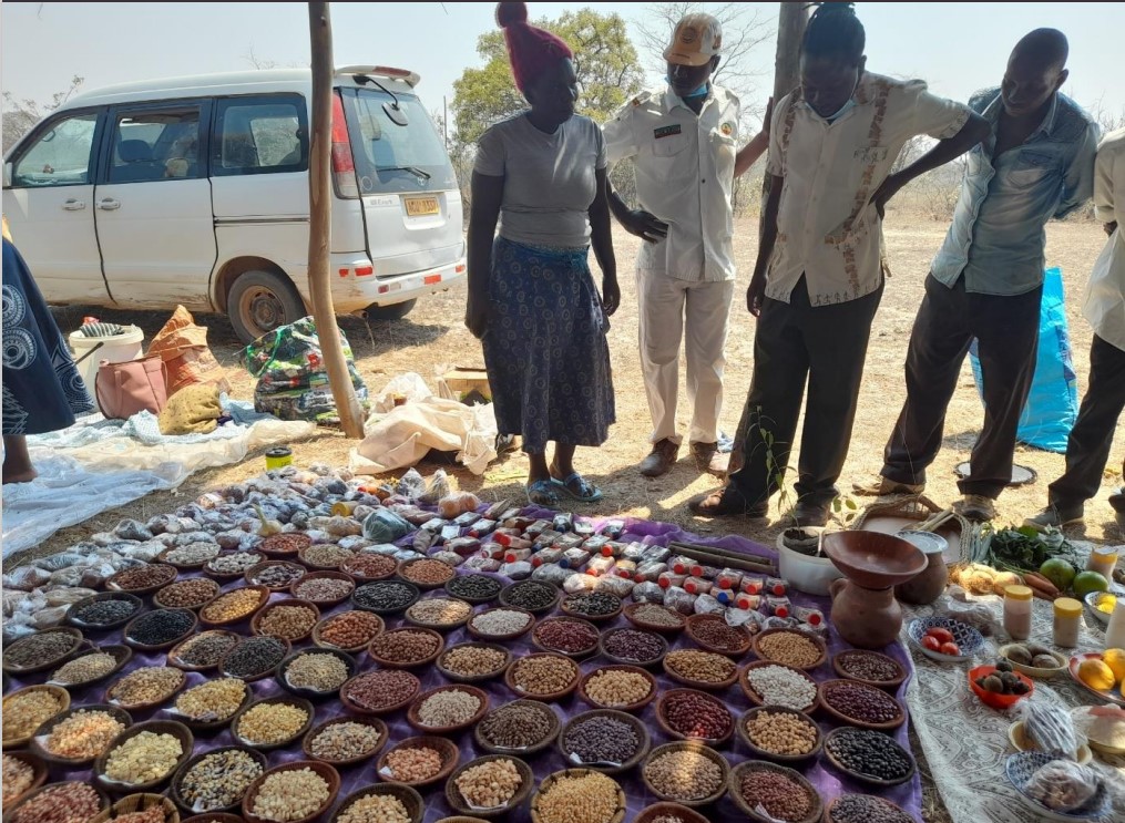 African Women Speak Out For Agroecology