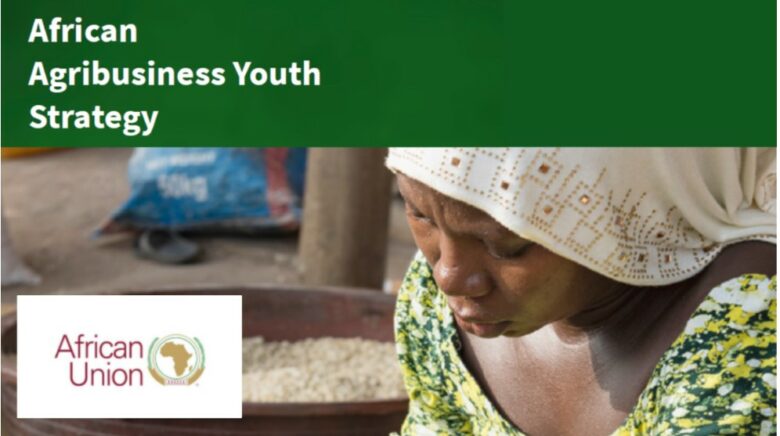 Creating opportunities for youth entrepreneurship – African Agribusiness Youth Strategy (AAYS ...
